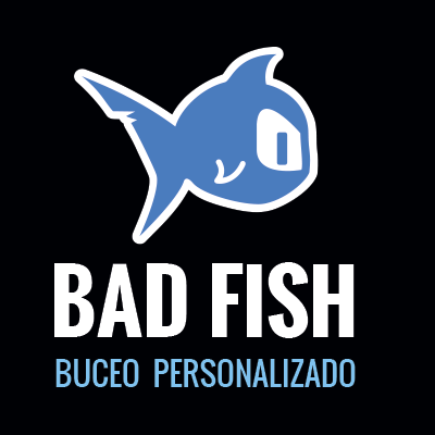Bad Fish Cursos de buceo en Madrid